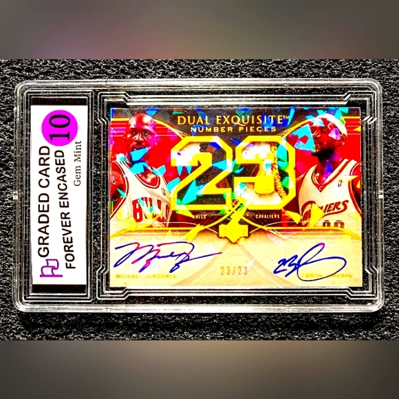 Nike | Toys | Michael Jordan Lebron James Dual Autograph Basketball ...